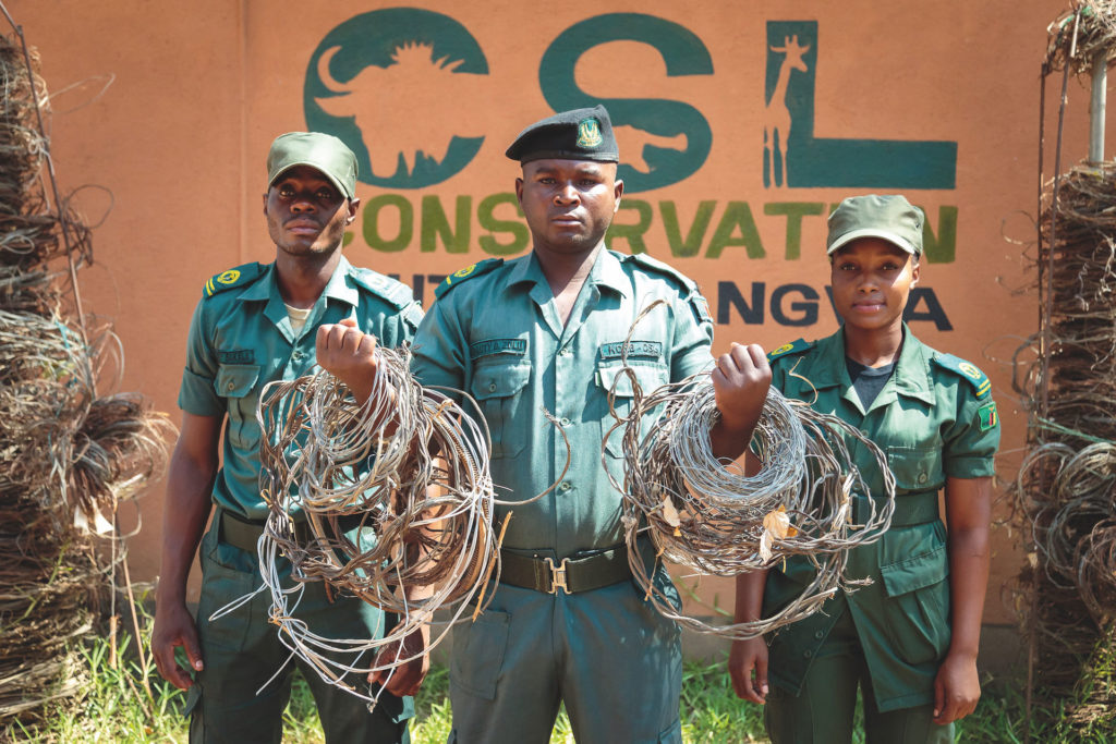 My Little Green Book: Rachel McRobb - Culture