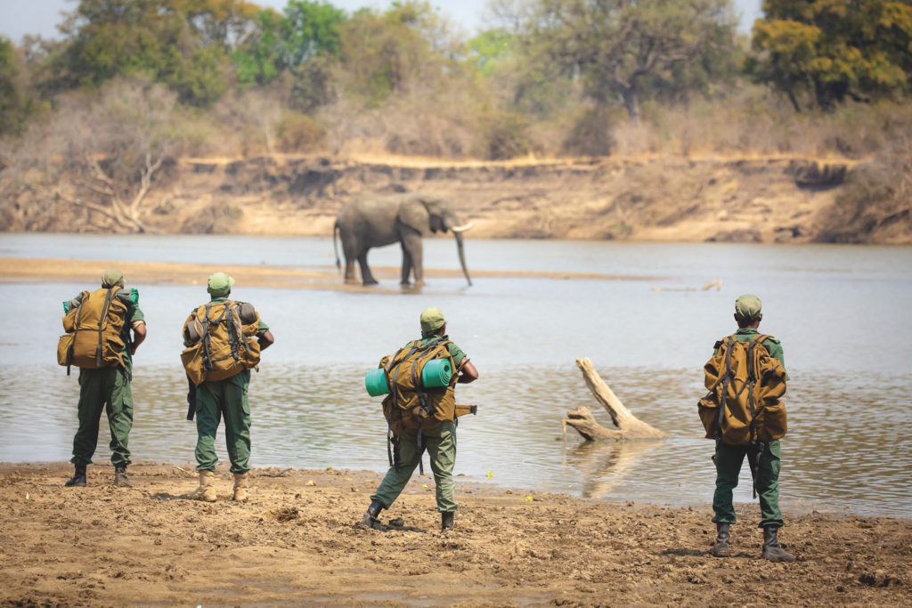 My Little Green Book: Rachel McRobb - Culture