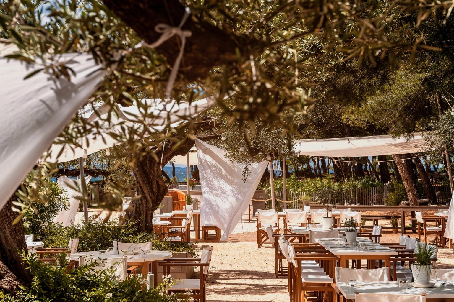 A Pilgrimage to Château Léoube, Provence