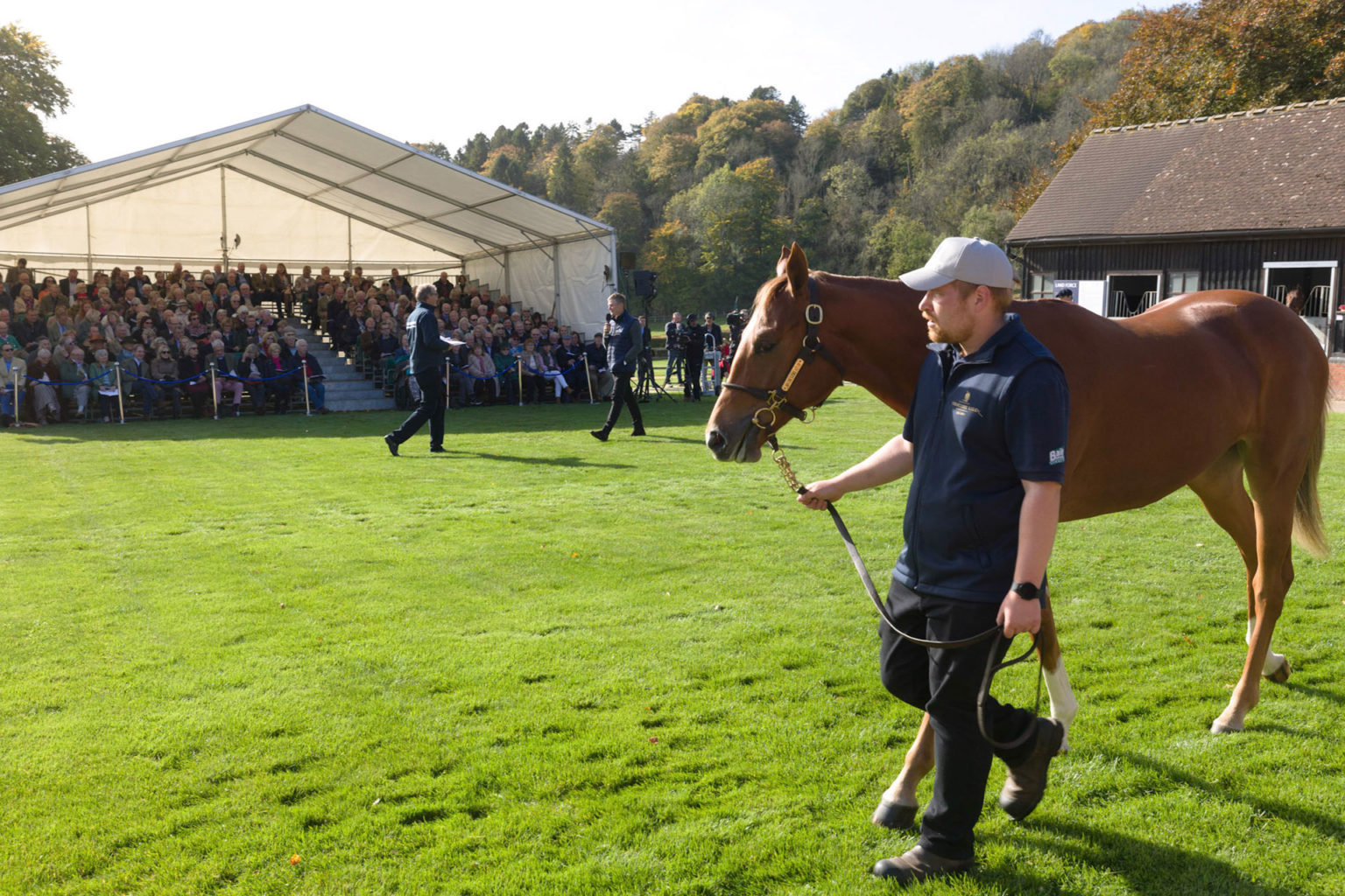 Meet Harry Herbert, Ringmaster of Highclere Thoroughbred Racing