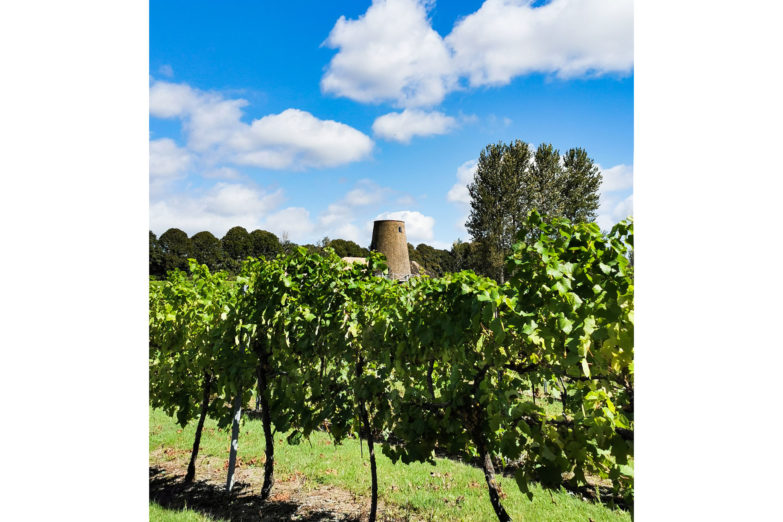 English Wine Week: English Vineyards To Visit Now