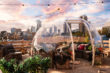 Review: Aviary London's Rooftop Igloos