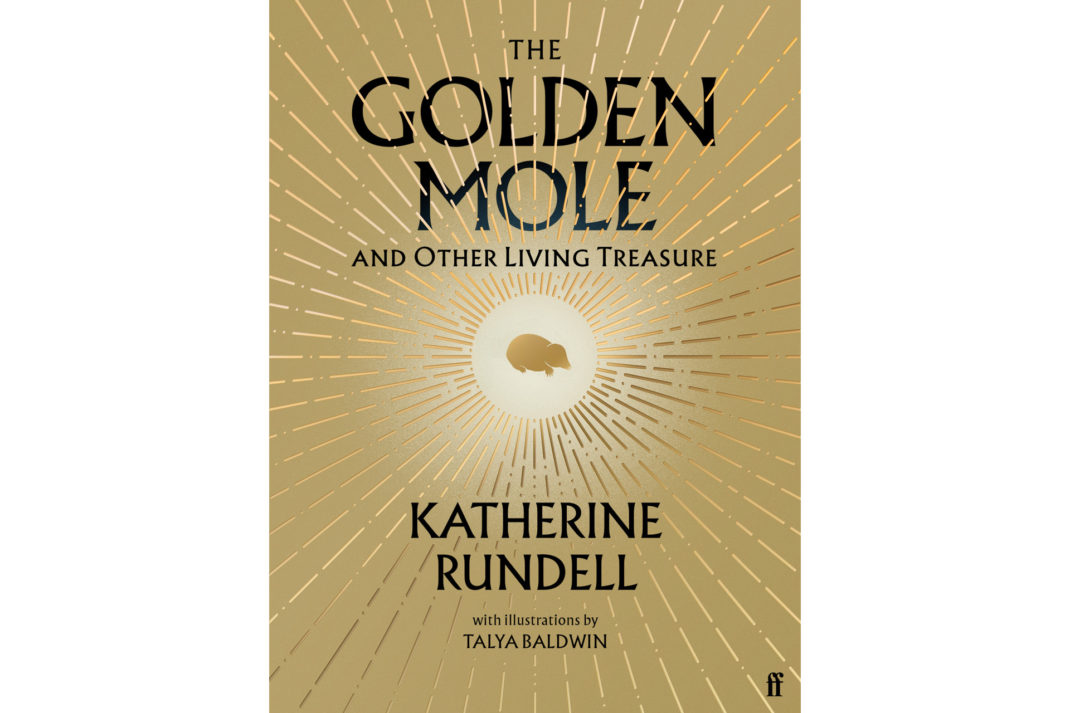 Katherine Rundell: Interview With The Author Of The Golden Mole