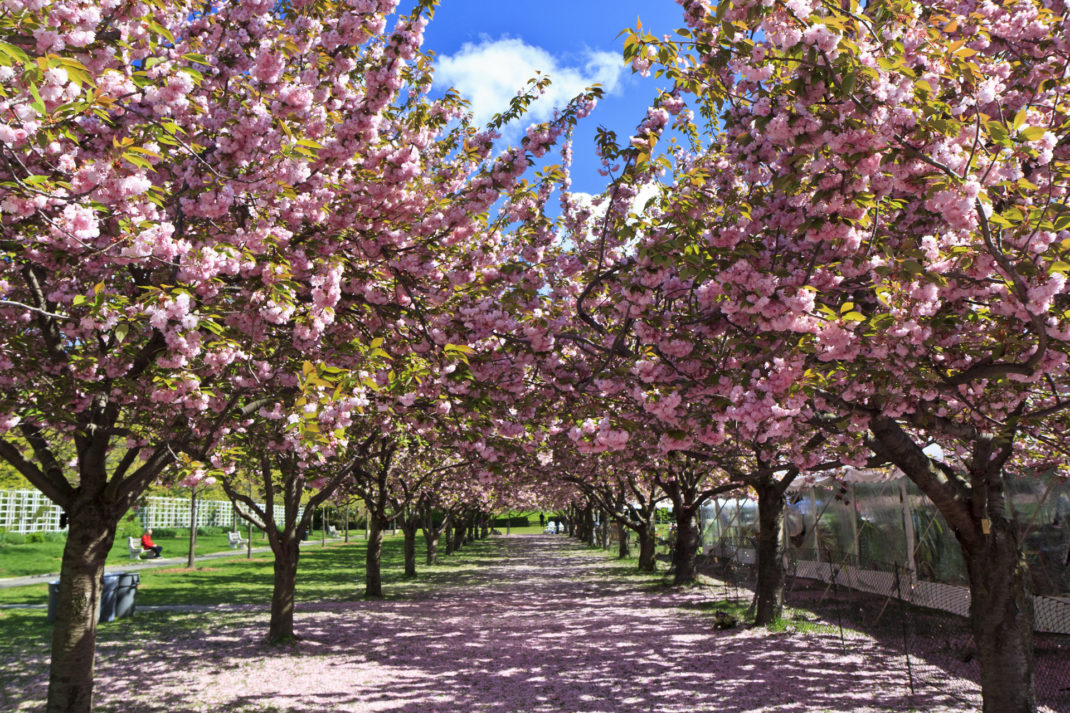 The Ultimate Guide to Brooklyn, NYC - Travel