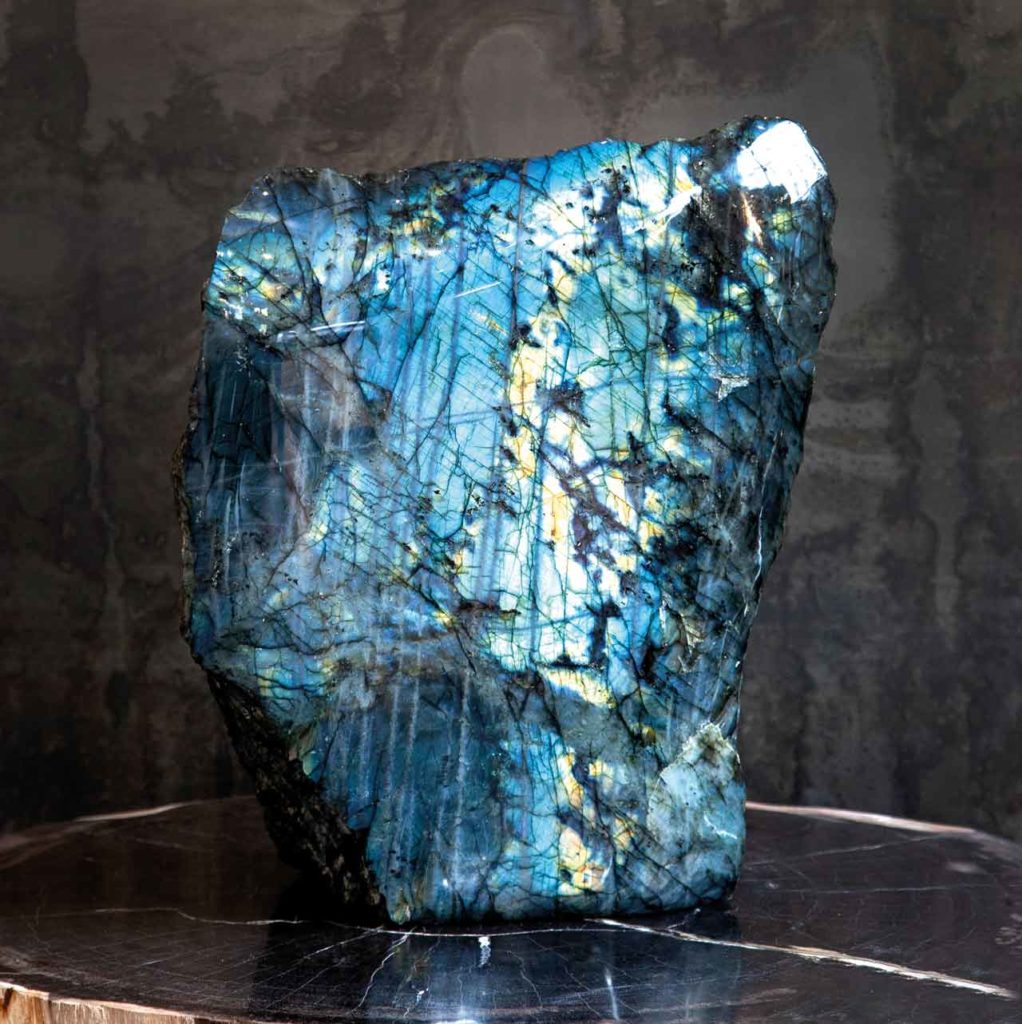 Dale Rogers Ammonite: World Leaders In Rare Fossils & Exquisite ...