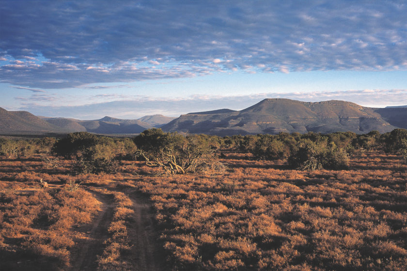 Interview with Isabelle Tompkins: Samara Karoo, South Africa