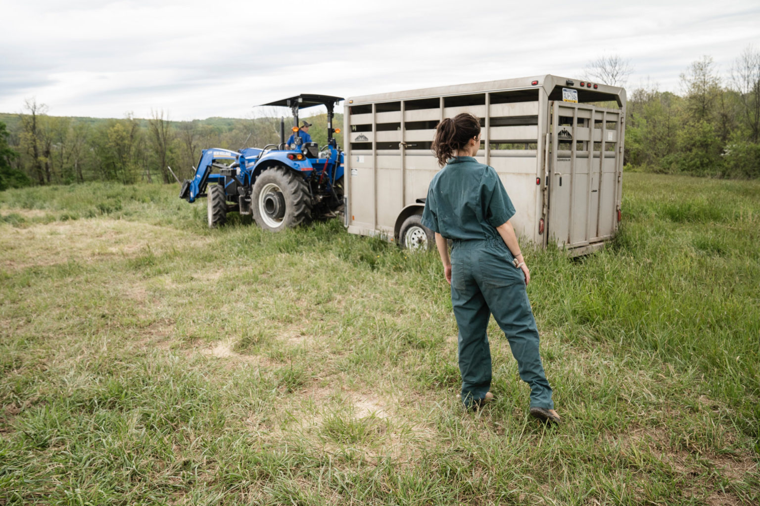 Open Farm Sunday: How To Get Involved