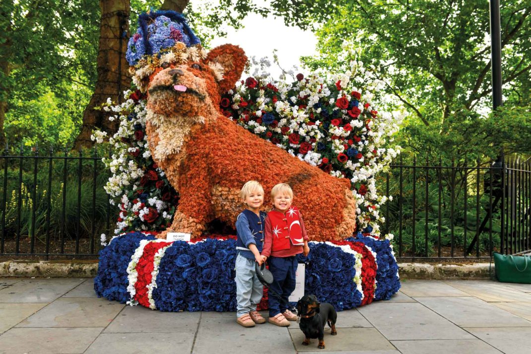 Flower Shows To Visit in 2023 - Floristry and Gardening Events