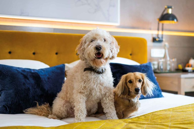 What You Need To Know About The Sloane Club & Sloane Place - Travel