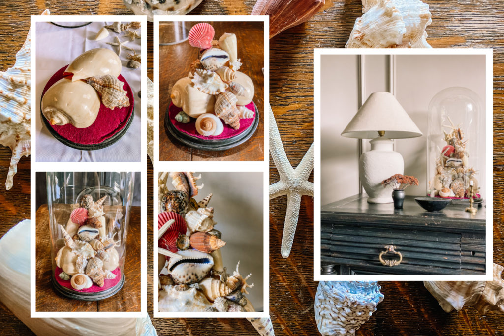 How To Make Seashell & Dried Flower Glass Domes - Style
