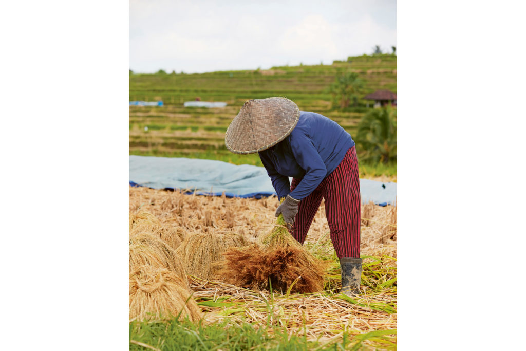 Interview with Chef Petty Pandean-Elliot