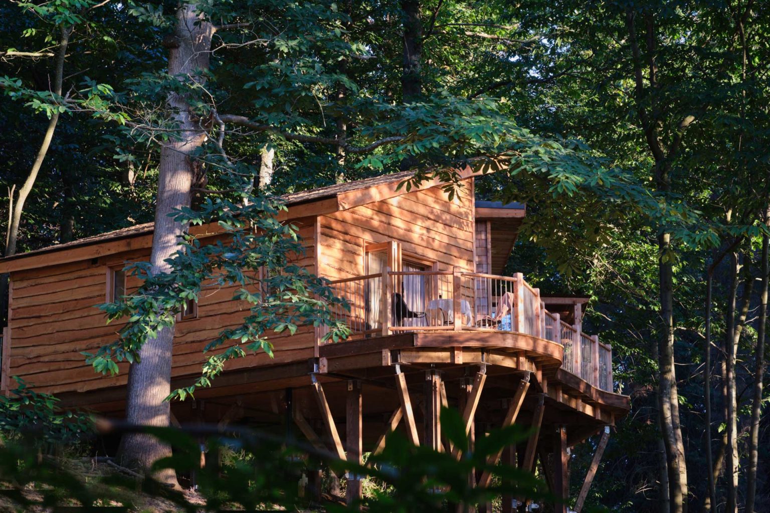 Treehouse Holiday UK: Cowdray Estate Tree Houses Review