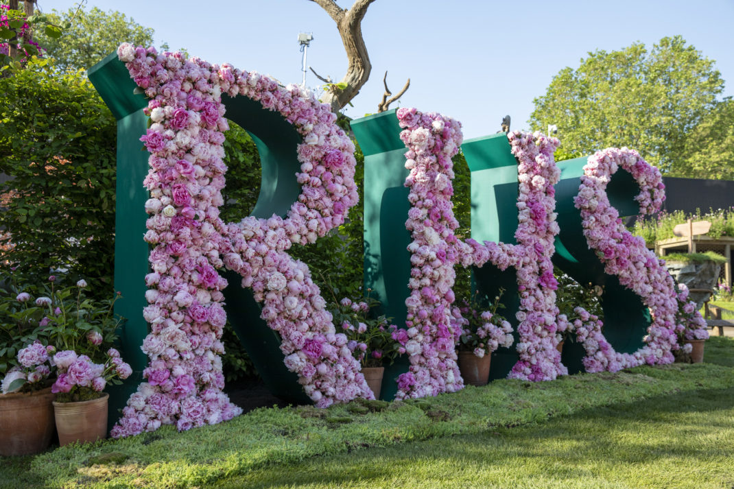 10 Best Things To Do In Chelsea, London 2025 | Culture