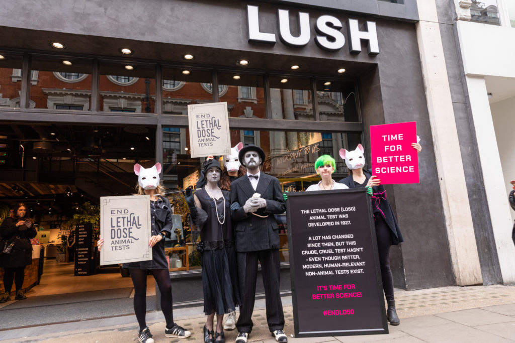 What Is Animal Testing? - Health & Beauty