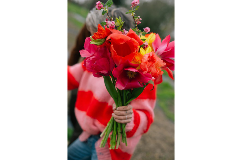 Where To Find The Best British Flowers - Culture