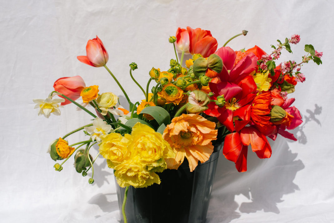 Where To Find The Best British Flowers - Culture