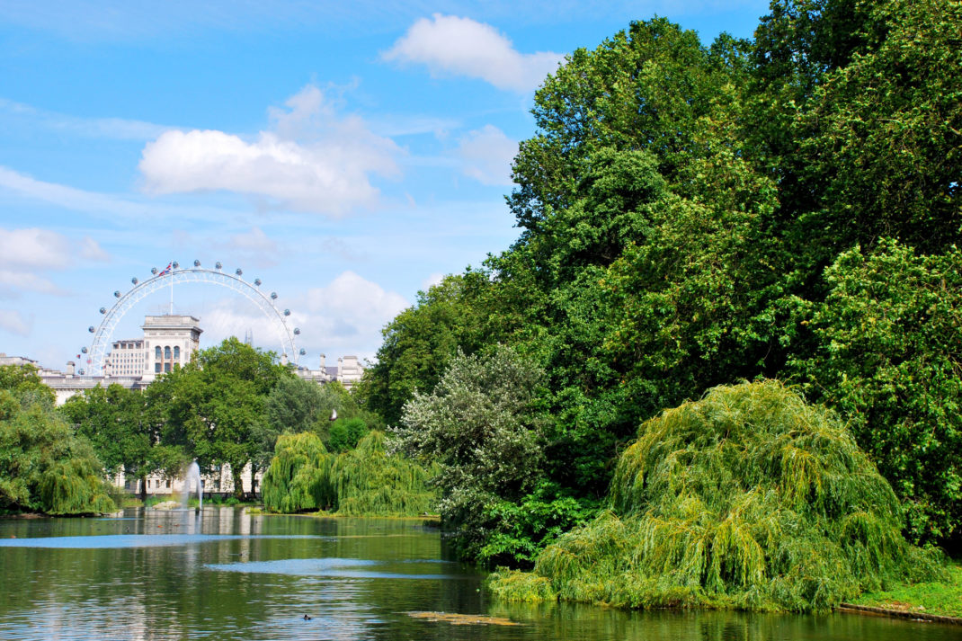 Is This The Best Park In The UK? TripAdvisor Thinks So - Culture