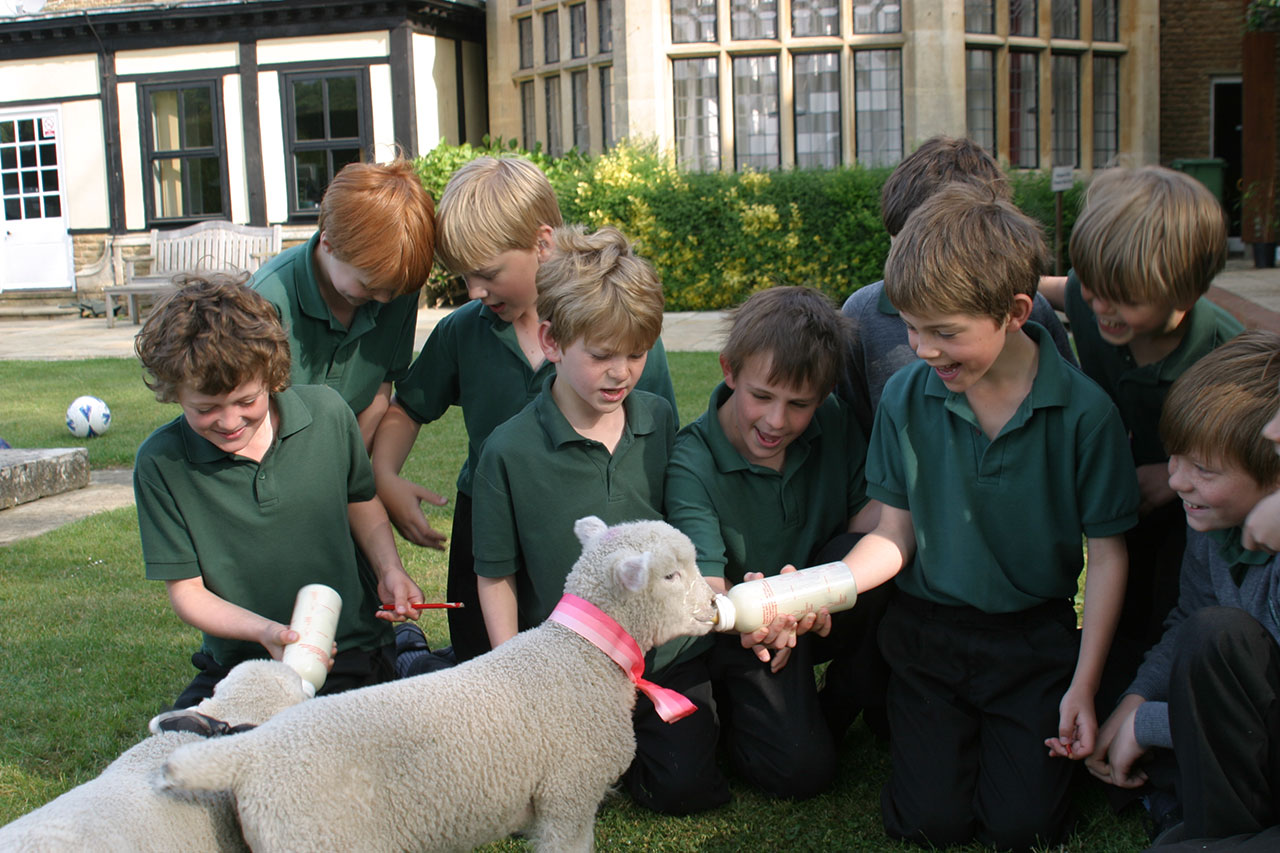 Aldro - Country and Town House