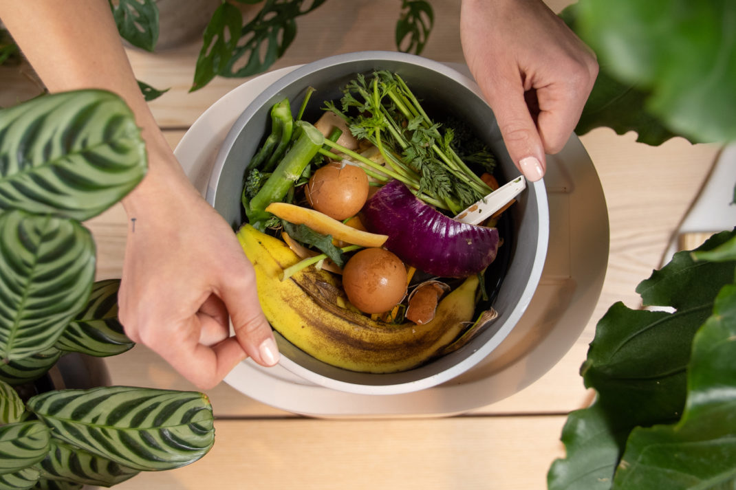 Lomi: The Green Gadget Making Composting Cool