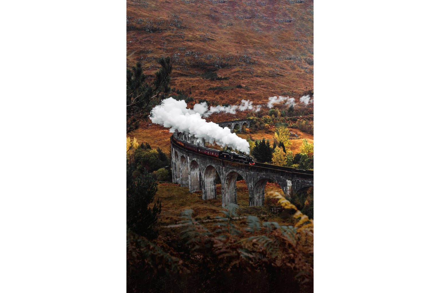 The Rail Renaissance: Train Travel Is Here To Stay