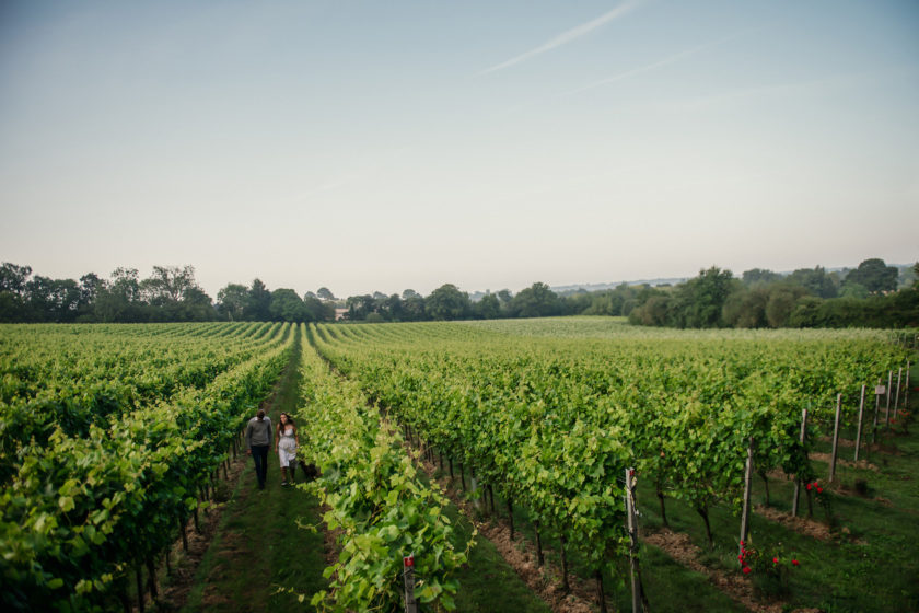 A Guide to Blanc de Noirs Champagne with Gusbourne