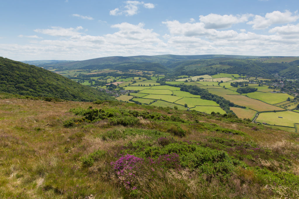 Mendip Hills: New ‘Super’ Nature Reserve Created In Somerset