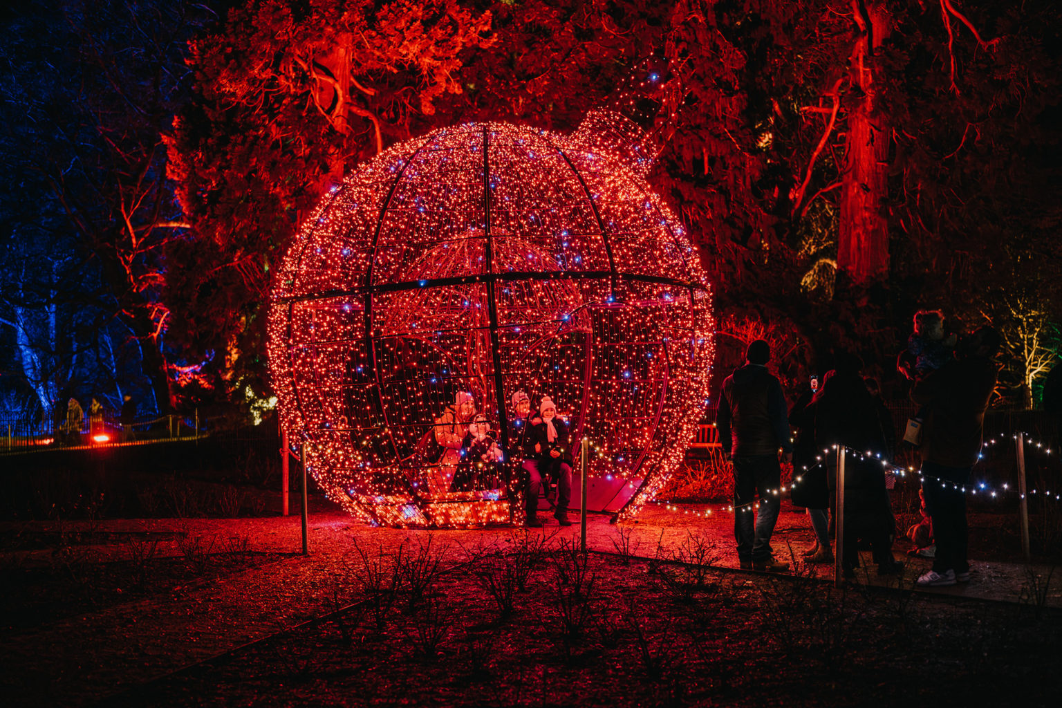 Magical Winter Light Festivals & Trails To Visit In 2025