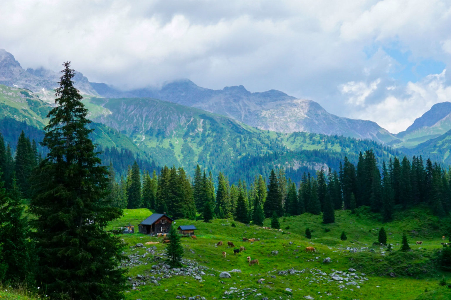 Review: The Arula Chalets, Lech - Travel