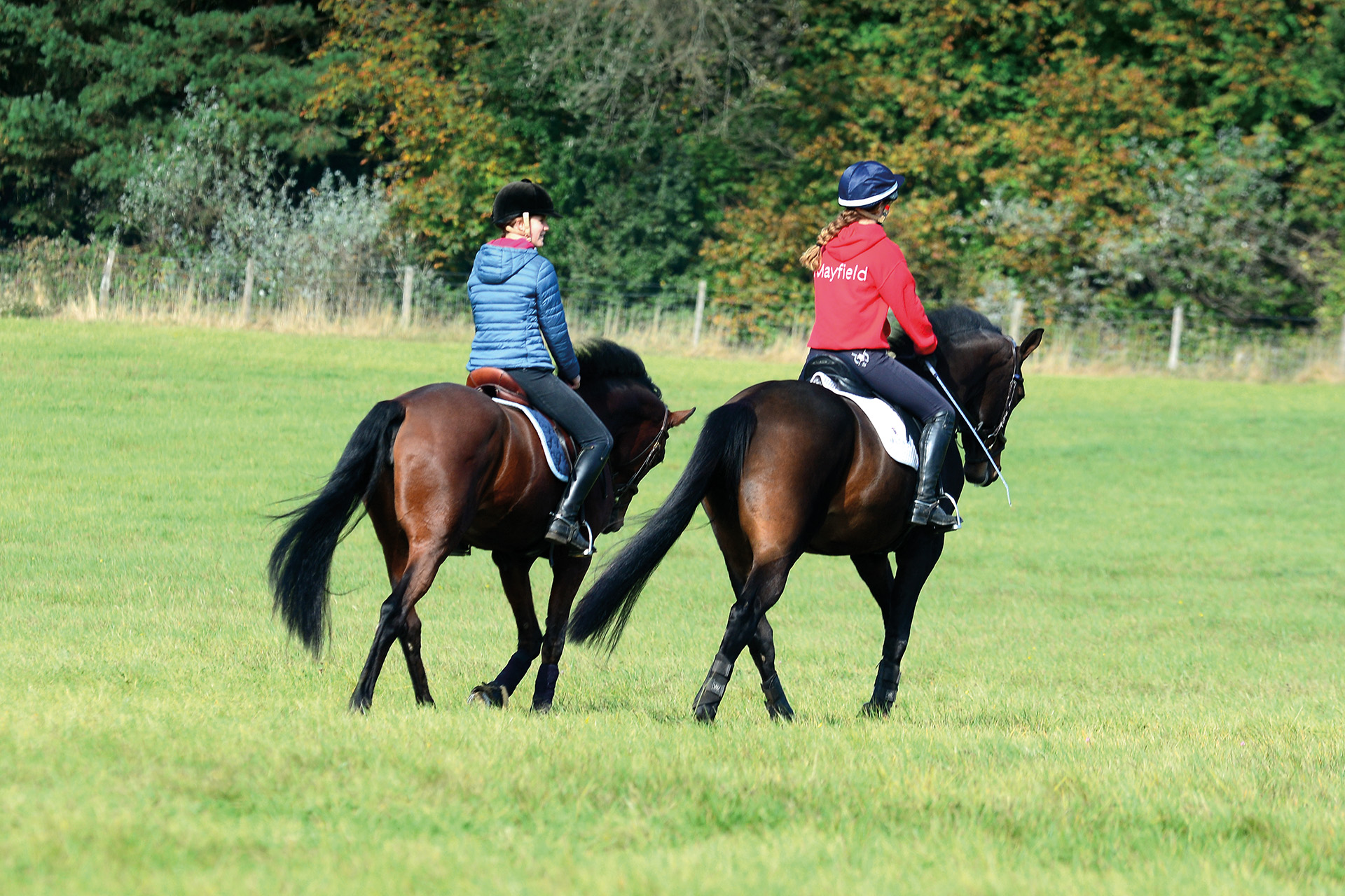 Furry Friends: The Schools Embracing Animals In Education