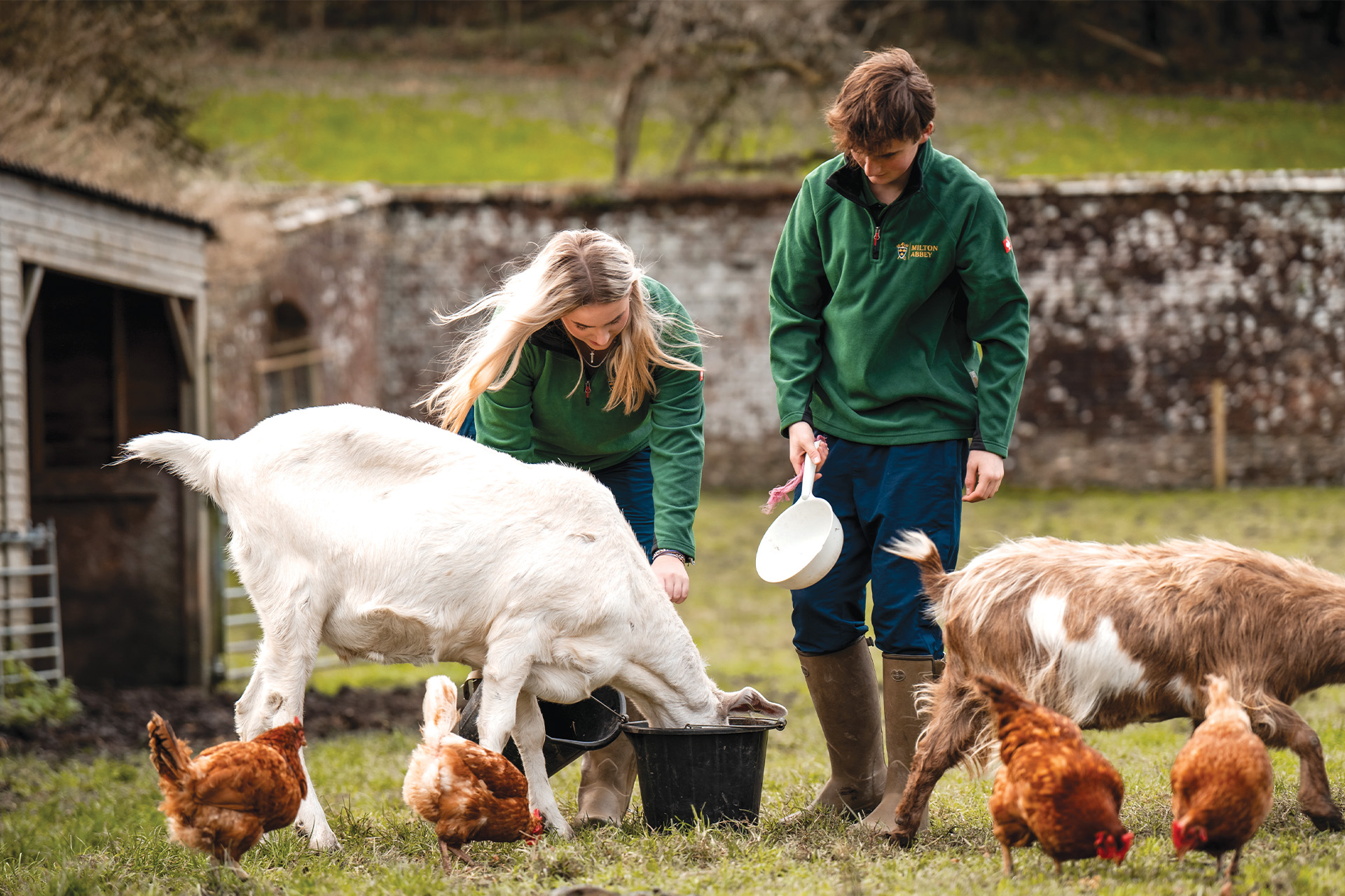 Furry Friends: The Schools Embracing Animals In Education