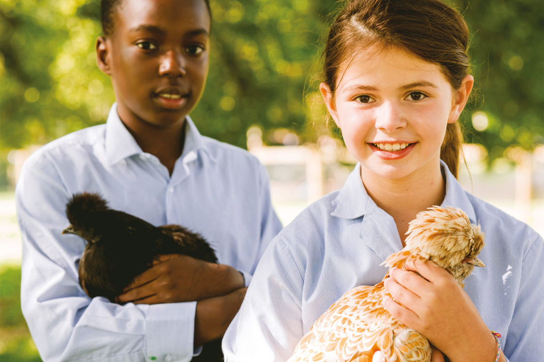 Furry Friends: The Schools Embracing Animals In Education
