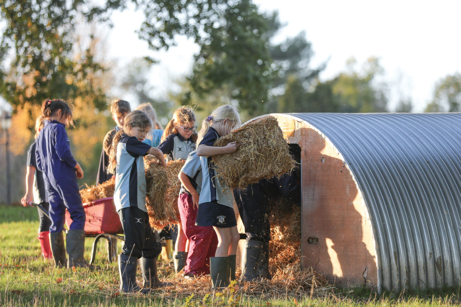 Furry Friends: The Schools Embracing Animals In Education