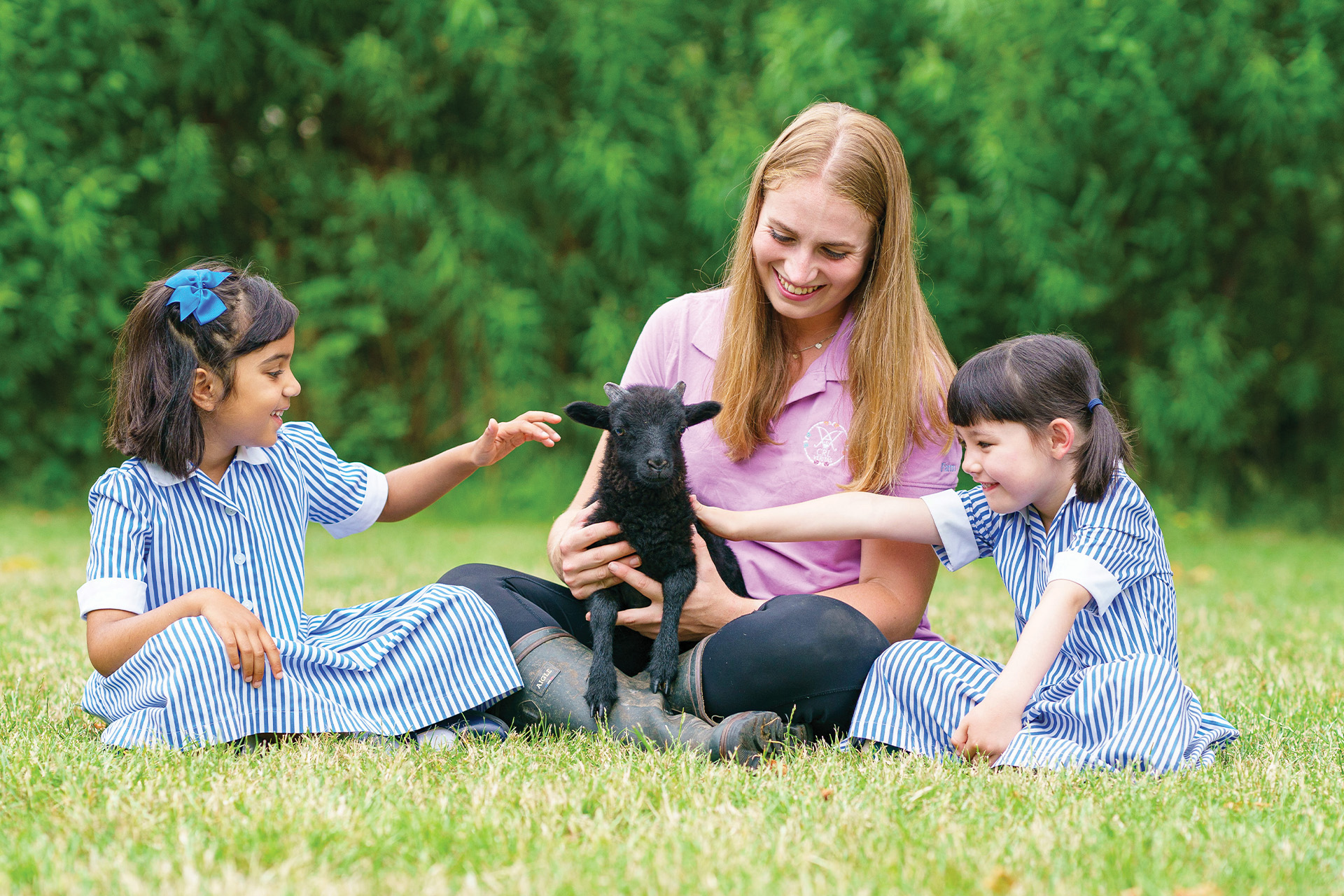 Furry Friends: The Schools Embracing Animals In Education