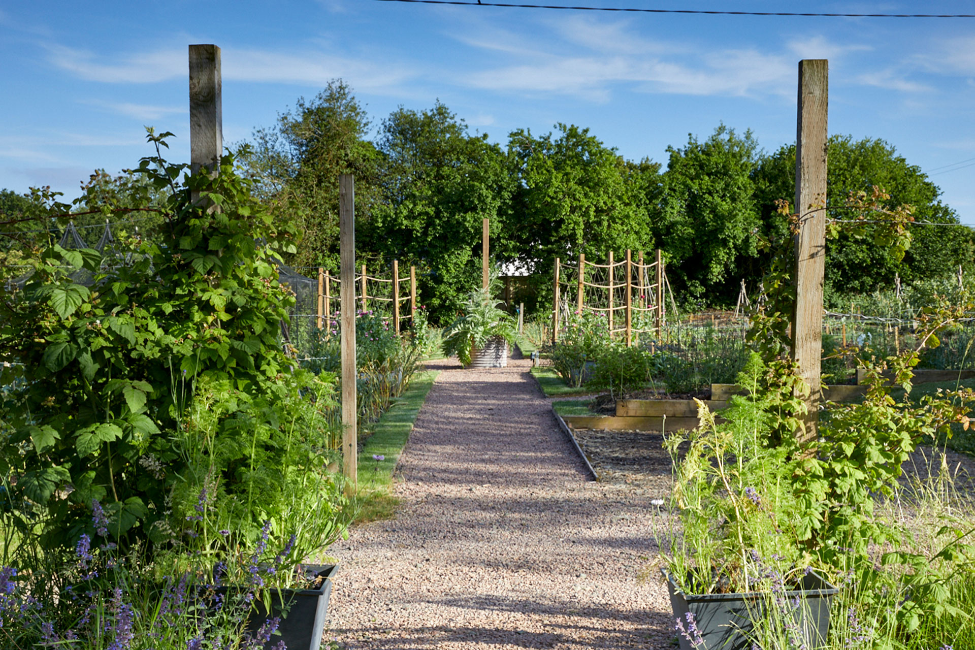 Wild Food Restaurant Native Is Moving To The Countryside