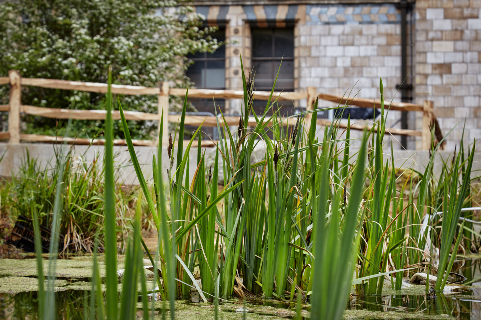 What To Expect At The New Natural History Museum Gardens