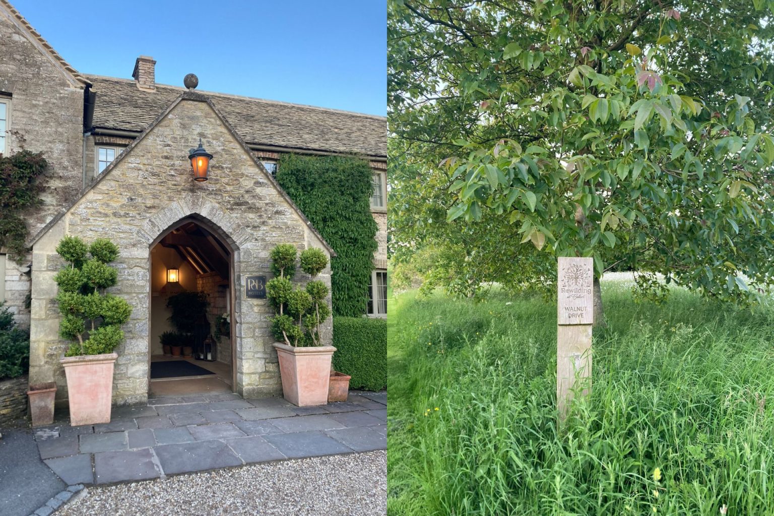 Inside Calcot & Spa's Pioneering Rewilding Efforts - Travel