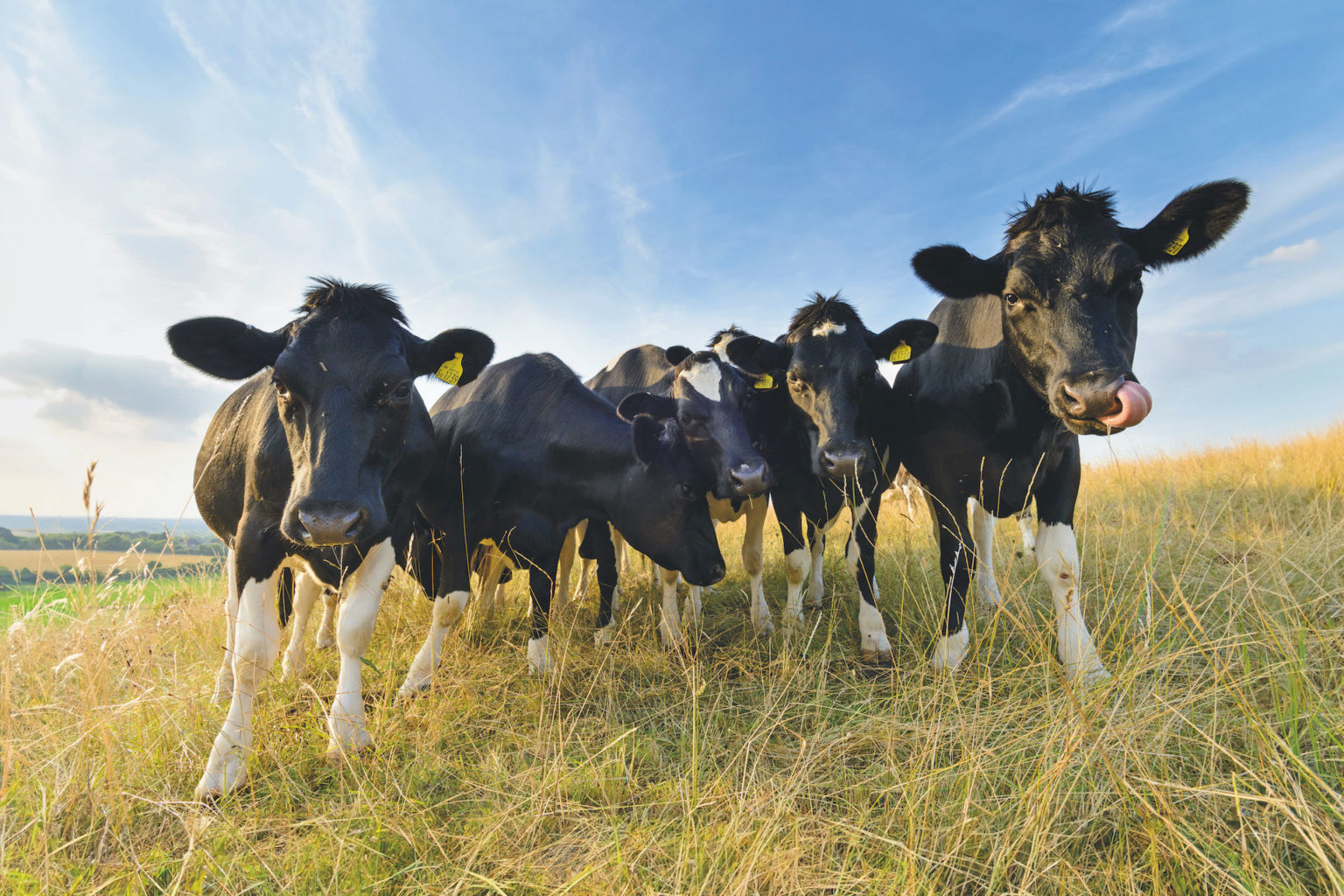 Why Soil is Sexy Now - Culture