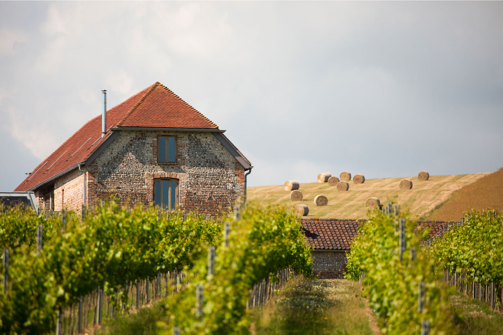 Guide: What To Do With 36 Hours In Sussex
