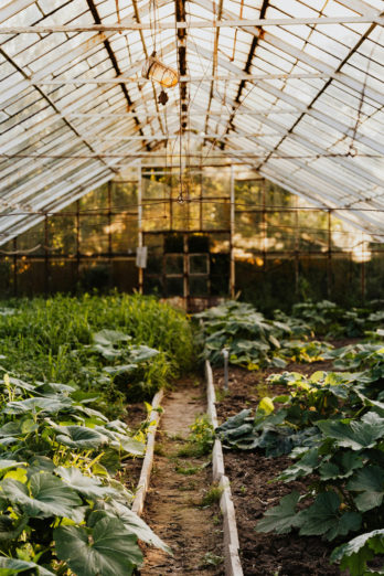 Rachel's Farm: How To Stream This Eco Farming Documentary