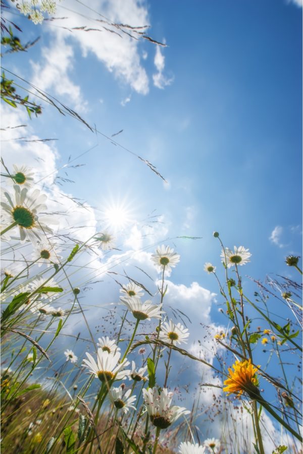 Summer Solstice 2026: What Is It & How To Celebrate