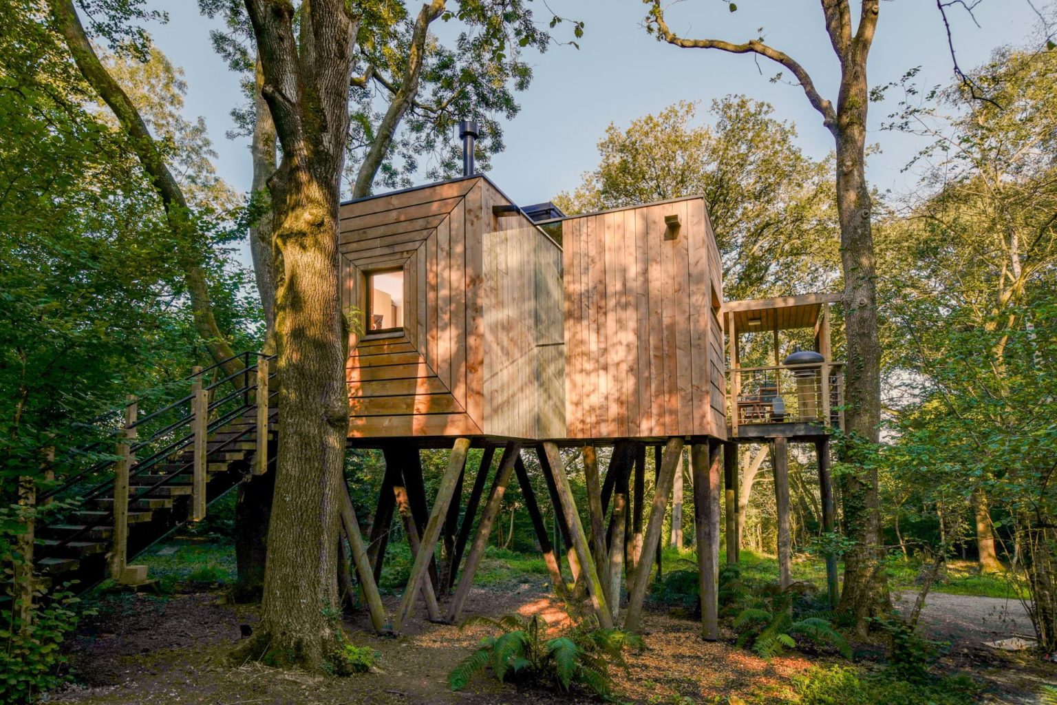 Live In A Former Treehouse Retreat