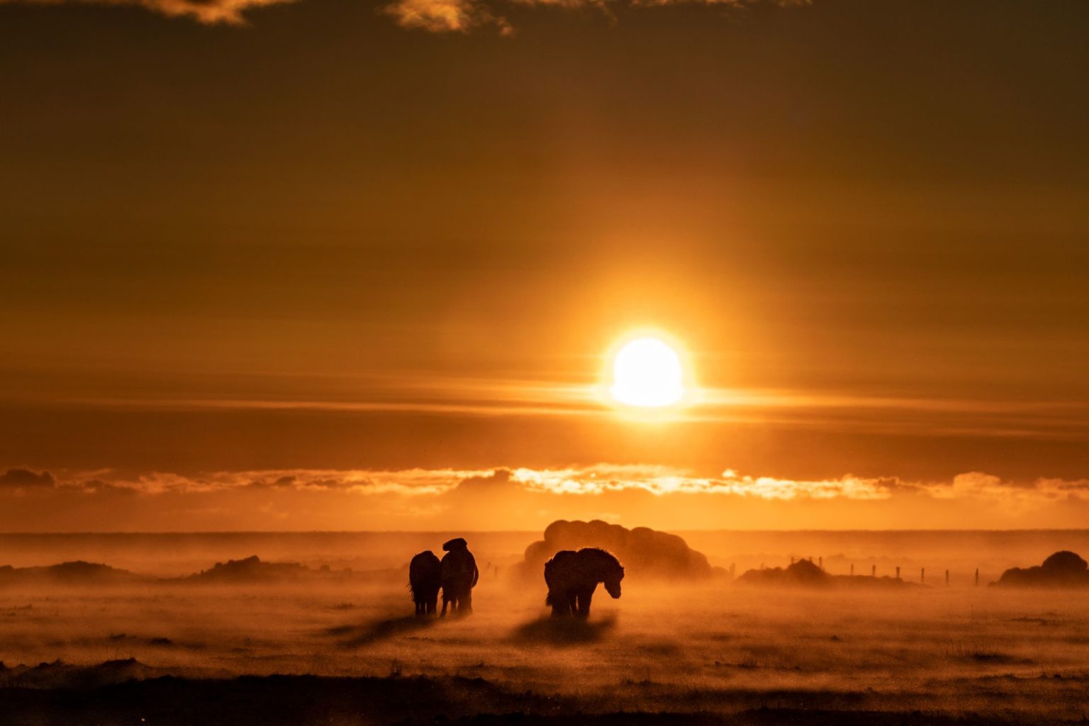 I Explored The Edge Of The Arctic In Iceland At Deplar Farm
