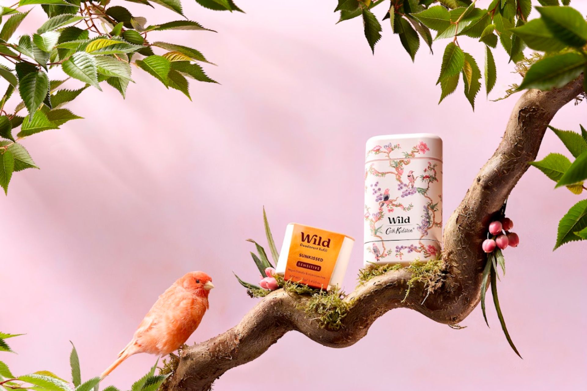 Closed:Win A Year's Supply Of Wild Deodorant
