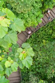The Eden Project Turns 25 - Culture Interview With Sir Tim Smit