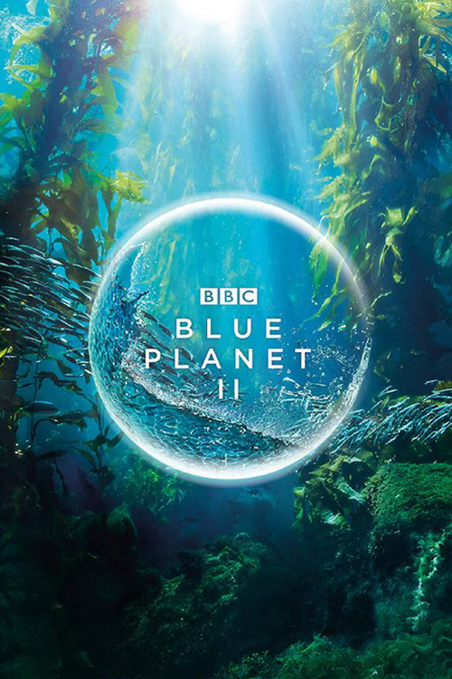 Best David Attenborough Documentaries To Stream On His 100th Birthday ...